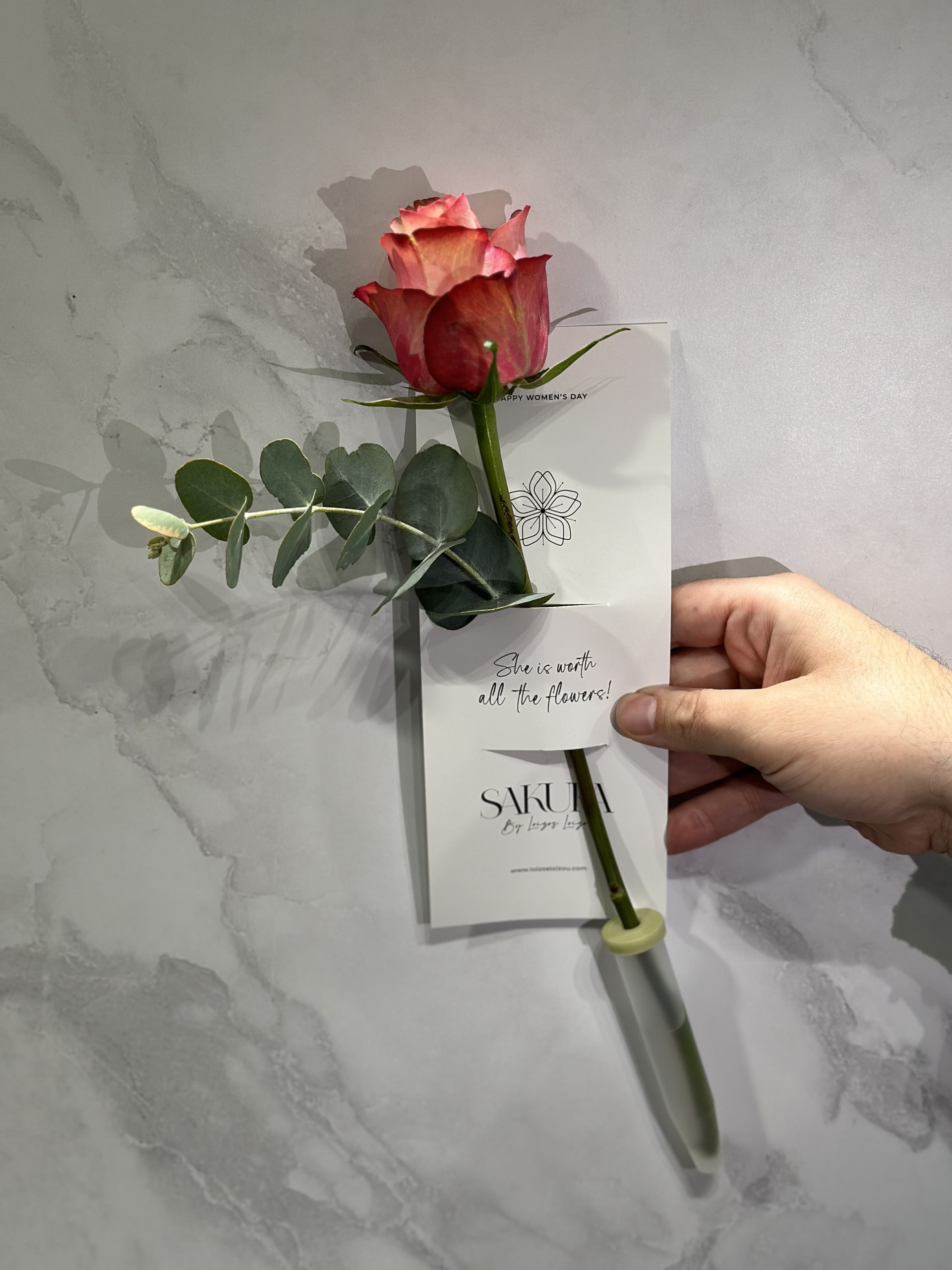 Single Rose in Luxury Packaging - Sakura By Loizos Loizou
